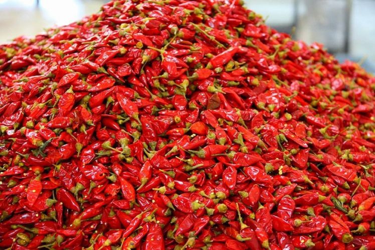 Peperoncino di Calabria: la storia e una ricetta sfiziosa
