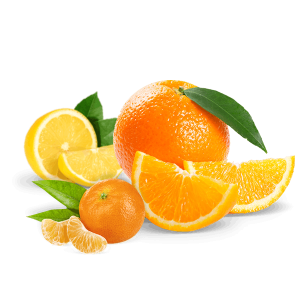 Tutte le proprietà nutrizionali degli agrumi - Agricoltore Bio